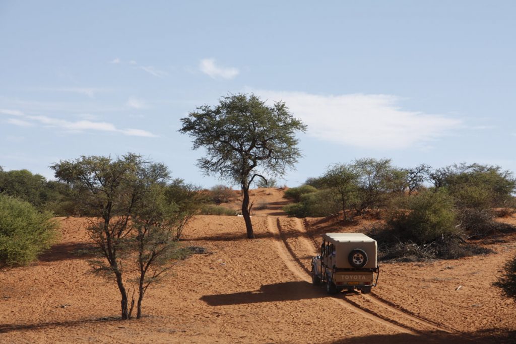 Intu Africa Kalahari – Safari im Private Game Reserve
