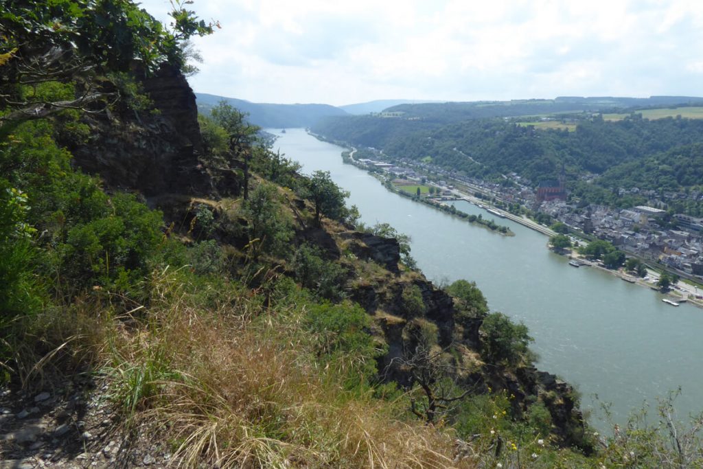 Rheinsteig: Fernwanderung mit Flussblick
