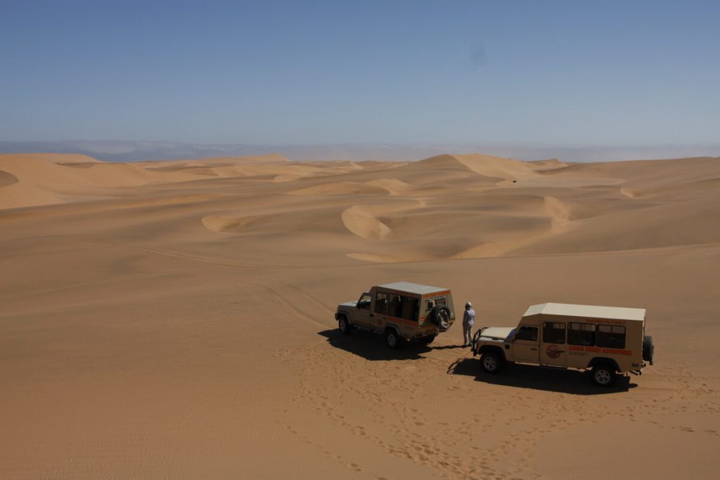 Wüstentour in Swakopmund: entdecke die Little Five
